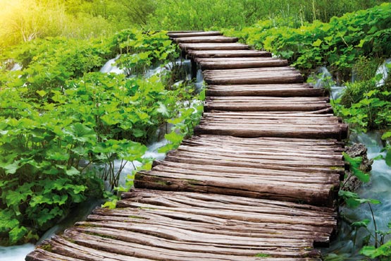 Lecta | Présentation