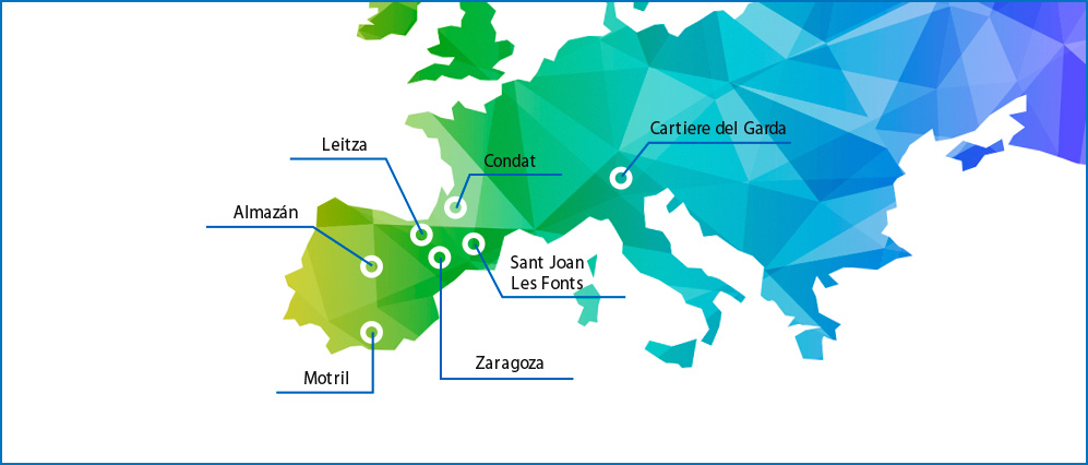 Lecta | Organización Industrial
