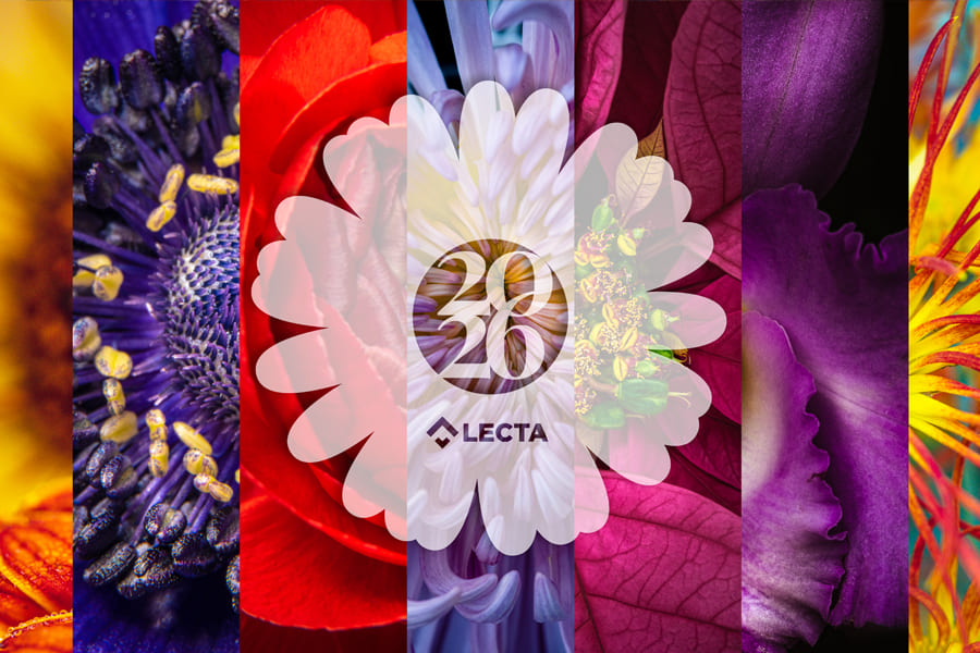 News Lecta capture les détails et l'essence la plus subtile des fleurs dans son calendrier 2026