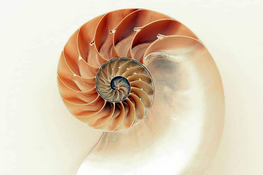 News Lecta publishes its Q2 2025 Interim Report